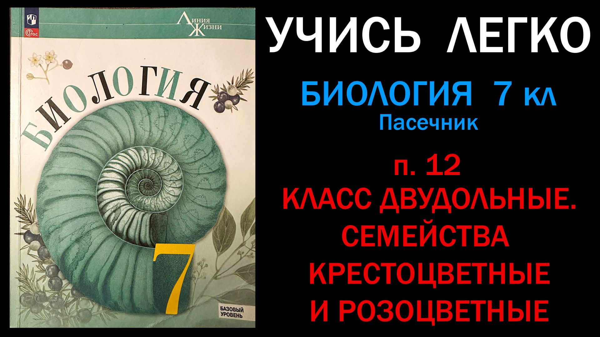 Биология 7 класс Пасечник, Суматохин параграф 12 Двудольные. Семейства крестоцветные и розоцветные