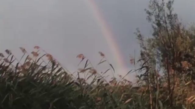 Рубрика «Литературный календарь». Александр Блок.