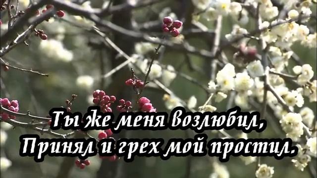 Ксения Лапицкая - Верный Спаситель, мой Бог(-)