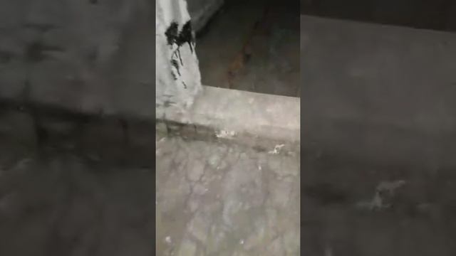 Проблем нет!