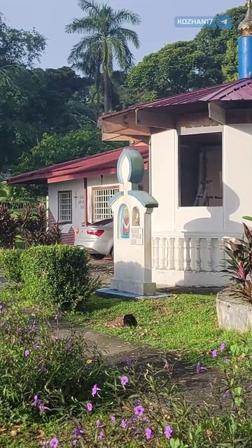 Как переехать в Панаму на эвакуаторе?