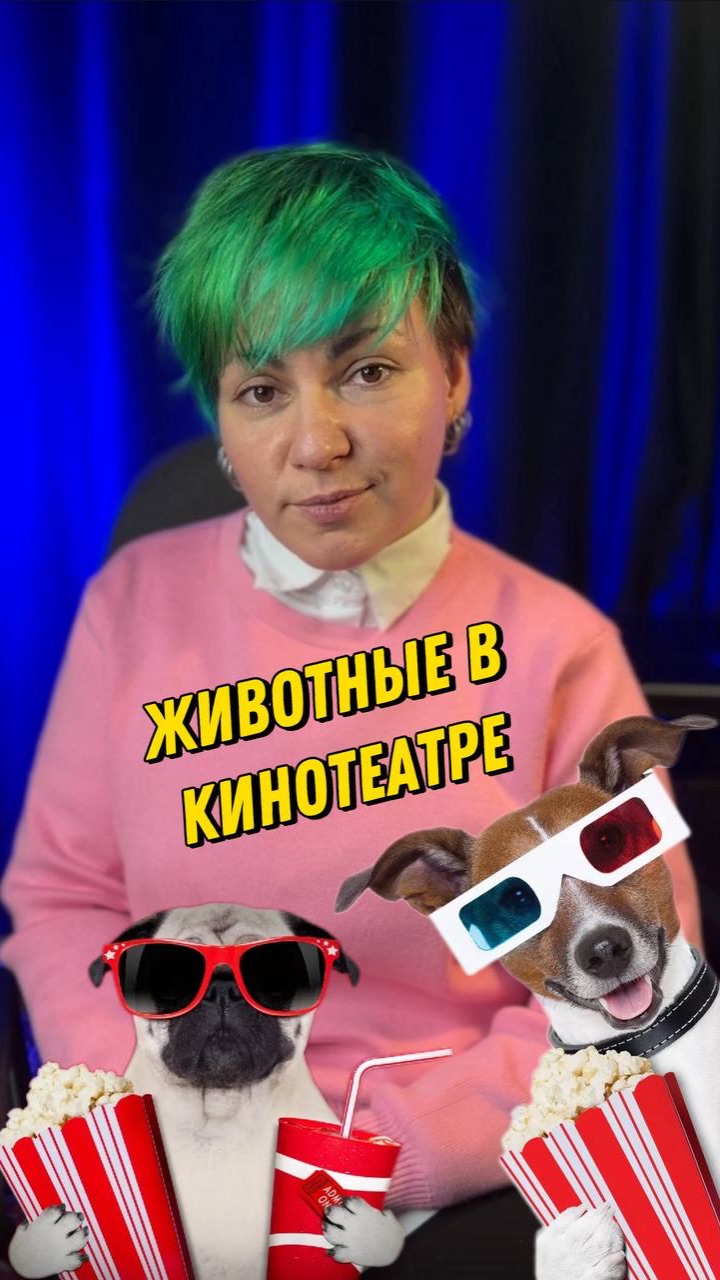 Напиши есть ли у тебя домашнее животное