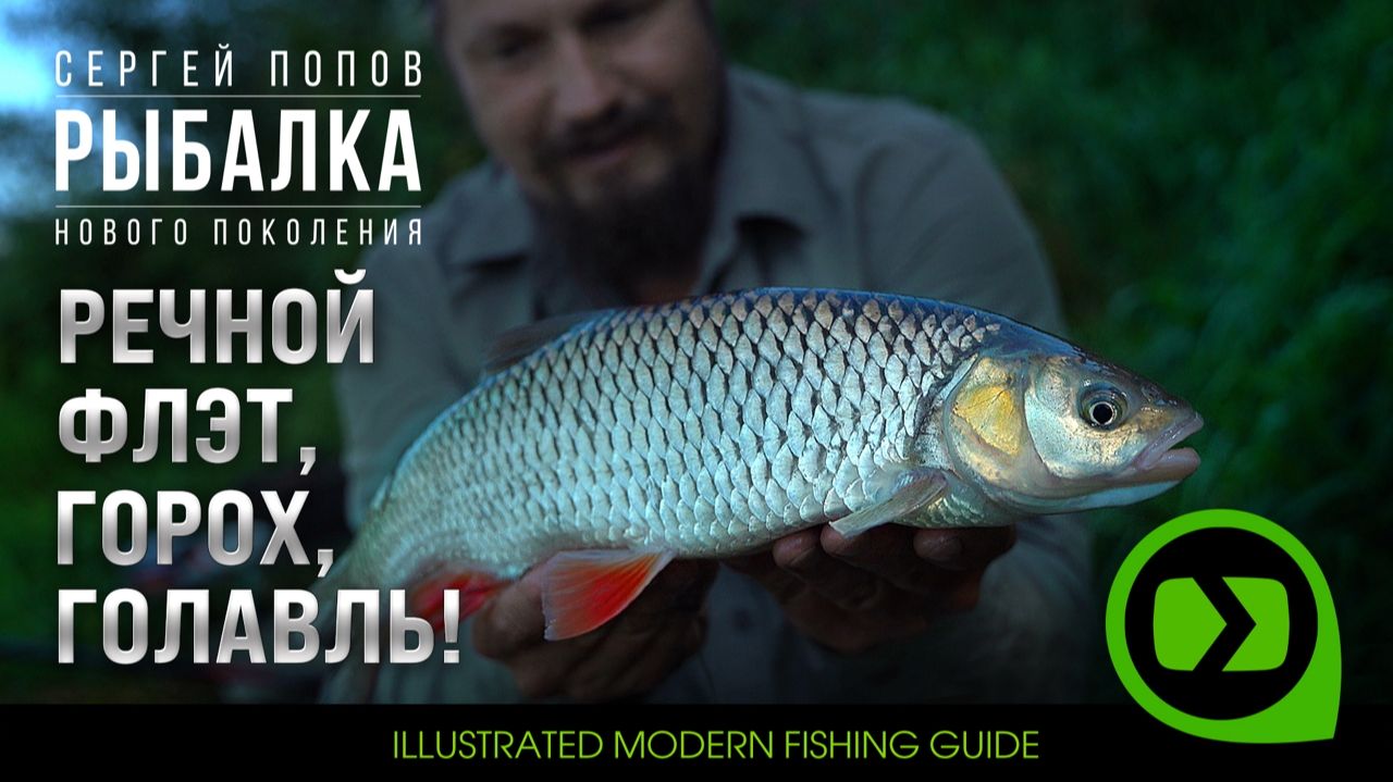 Речной флэт фидер, горох и голавль / Рыбалка нового поколения