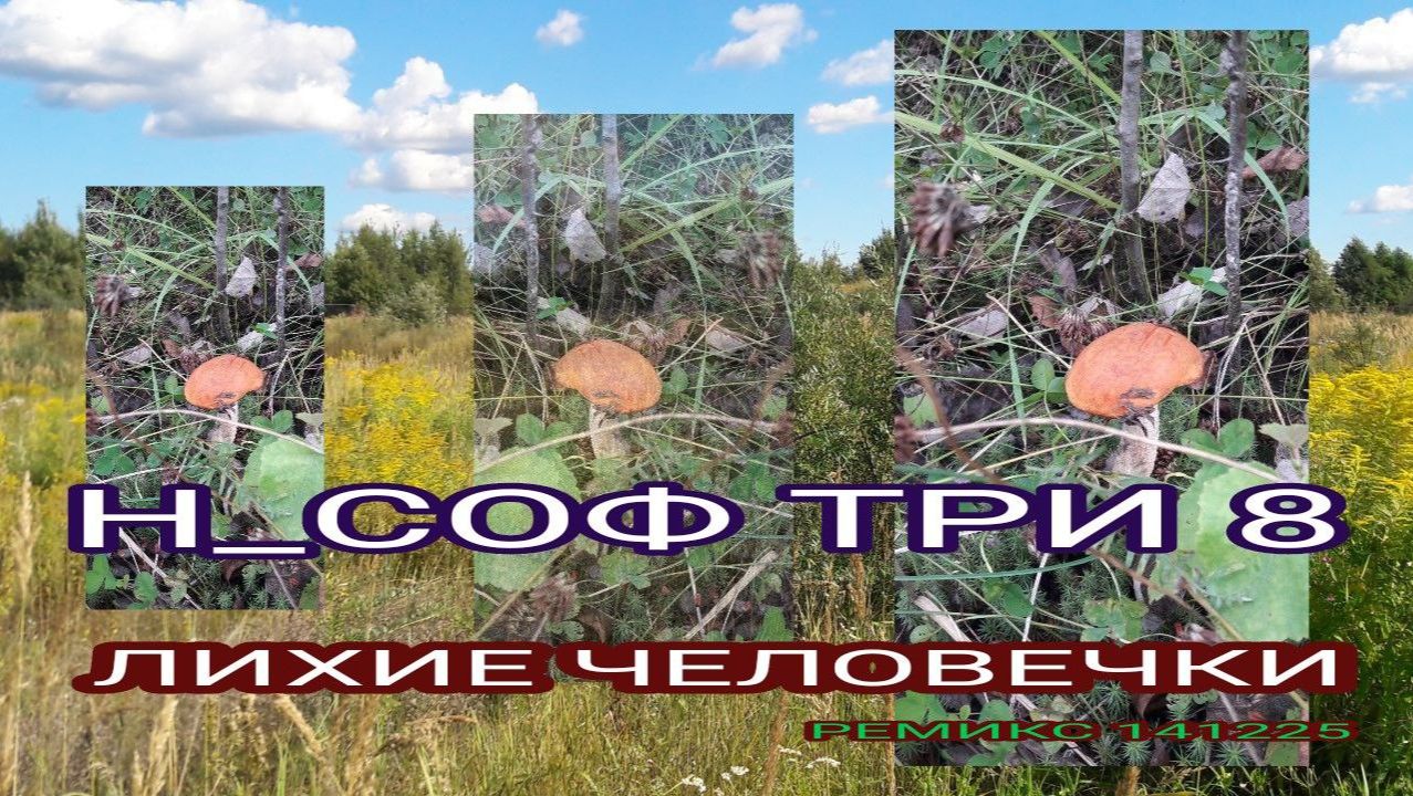 ПЕРЕРЫВ ПОЛН.ВЕР.(А) _ N_SOF TREE 8 video_2025-12-12