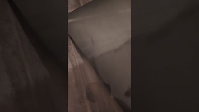 Фотопластинки ПФС-01 2010