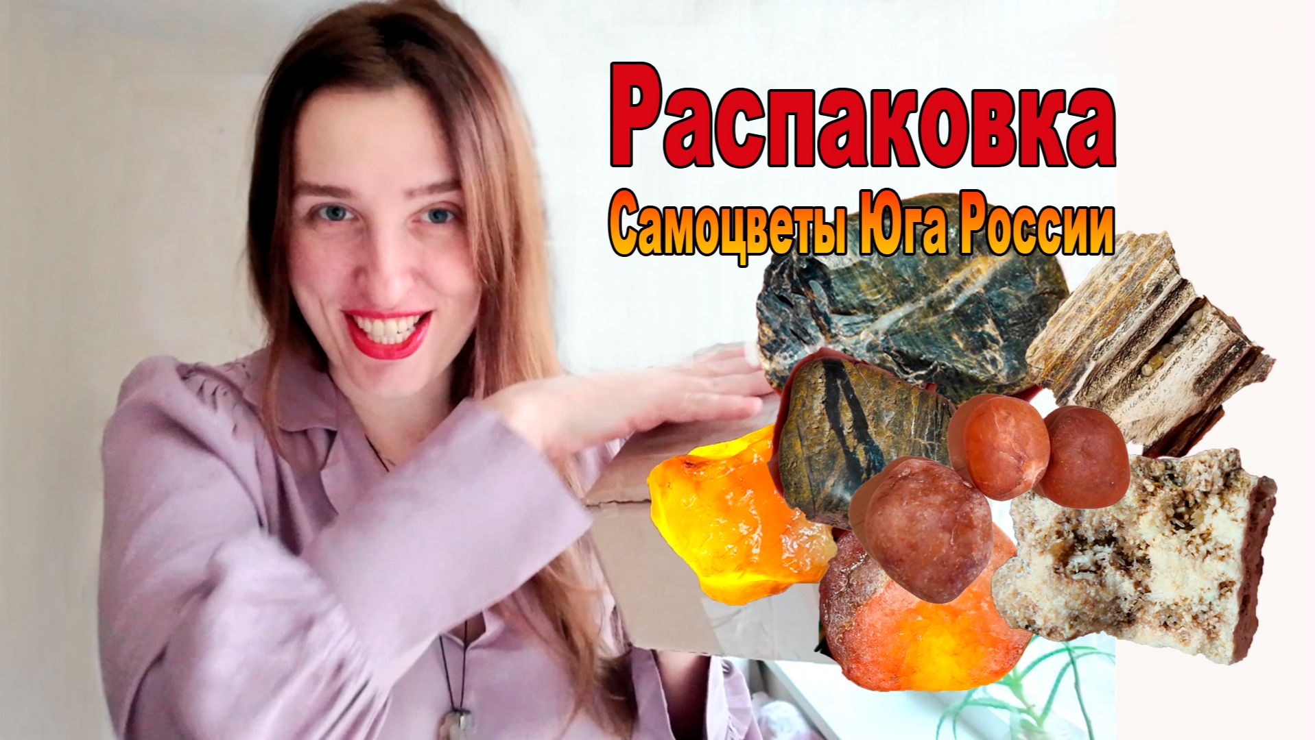 Окаменелое дерево. Как отличить яшму от кремня. Как работают минералы. Минералы с лесным ароматом