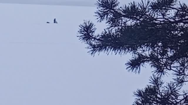 Исетское водохранилище . Обстановка на 15 декабря .