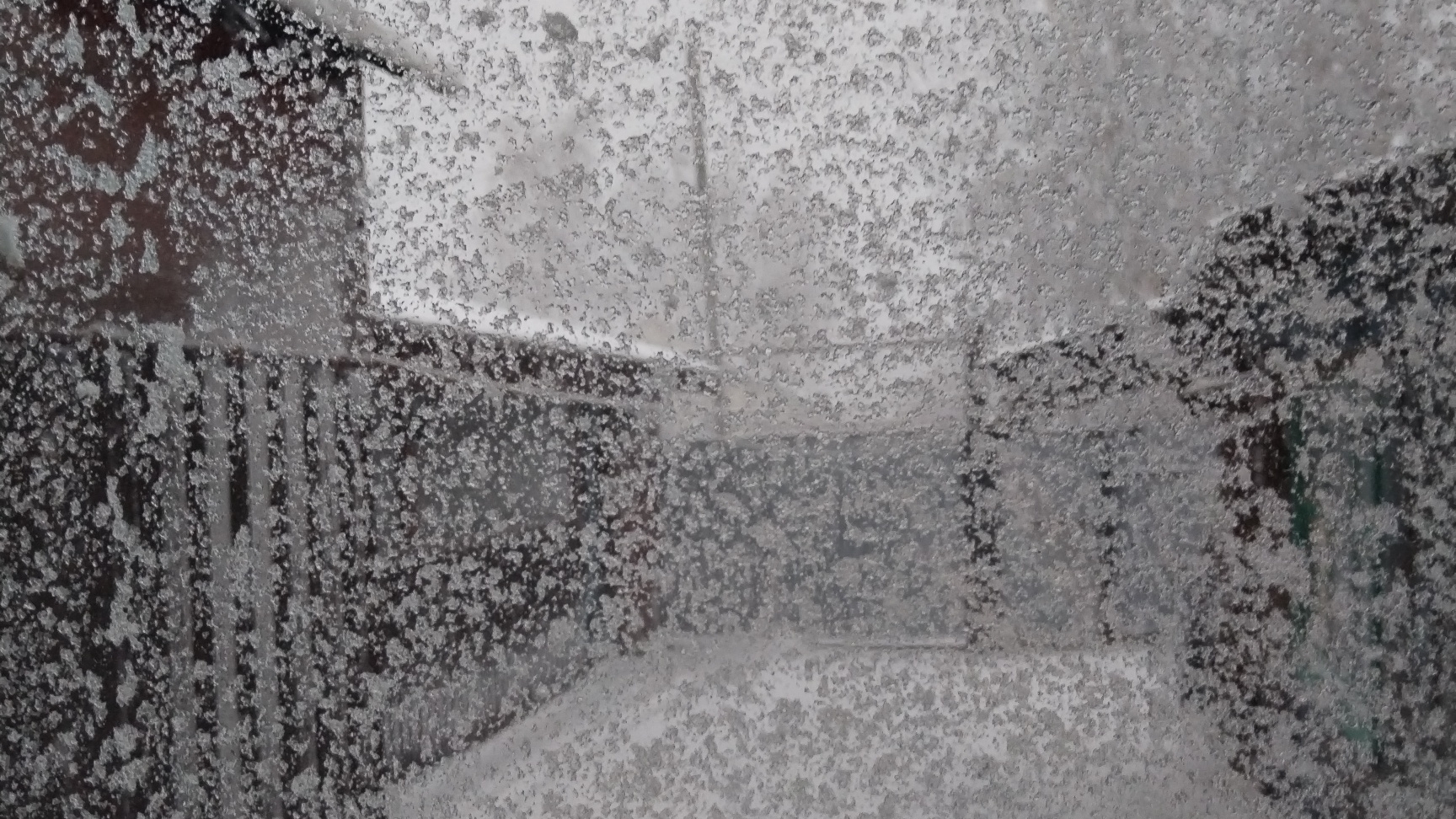 Влог 13.-15.12.25 Зима резко заявила о себе...