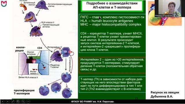 Физиология ребенка. Л9. Детский иммунитет. Дронзикова М.В.