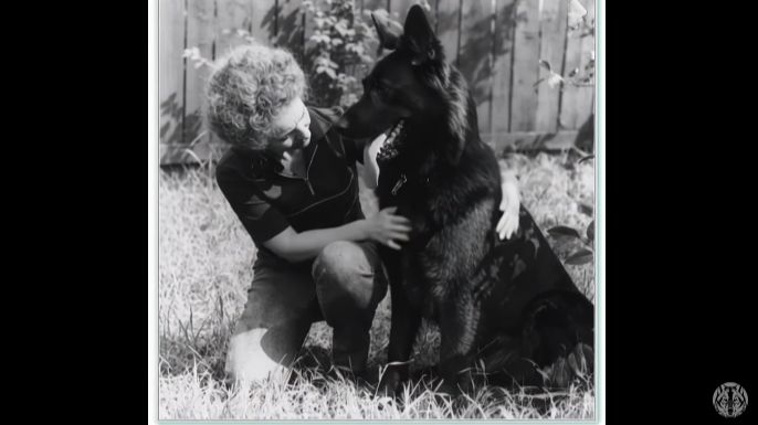 КИНОЛОГИ 40 ЛЕТ