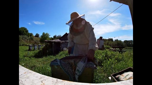 ПЧЕЛОВОДСТВО 2020//КАК Я ПРОВОЖУ ОСМОТР СЛАБЫХ СЕМЕЙ//СОВЕТЫ ДЛЯ НАЧИНАЮЩИХ