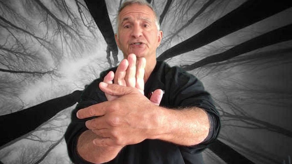 Эван Пантази КЮСЁ-ДЗЮЦУ 2: нейтрализация атак руками