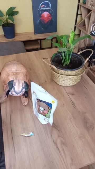 Дедушка мороз