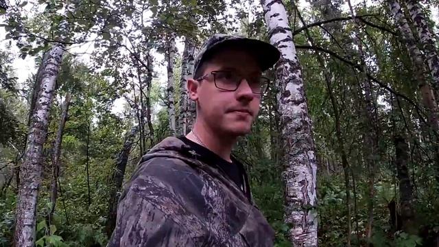 ОХОТА 2020 // по медвежьим тропам #2 // ОХОТА НА МЕДВЕДЯ // OFFROAD