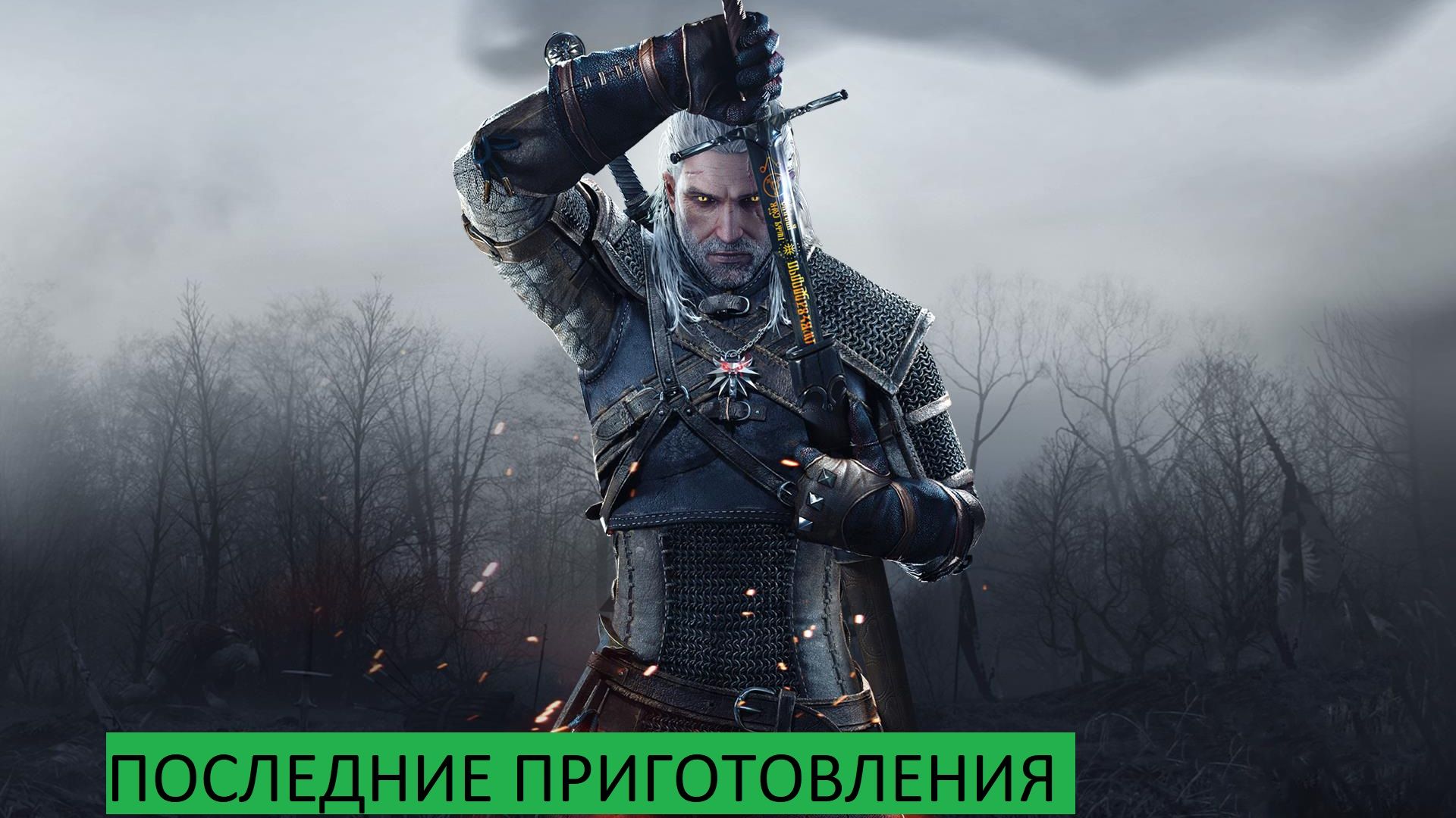 Ведьмак 3 Дикая Охота» Прохождения ПОСЛЕДНИЕ ПРИГОТОВЛЕНИЯ