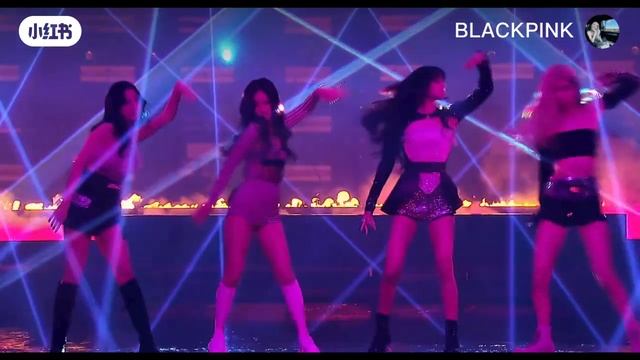 (◕‿◕✿)(◡‿◡✿)