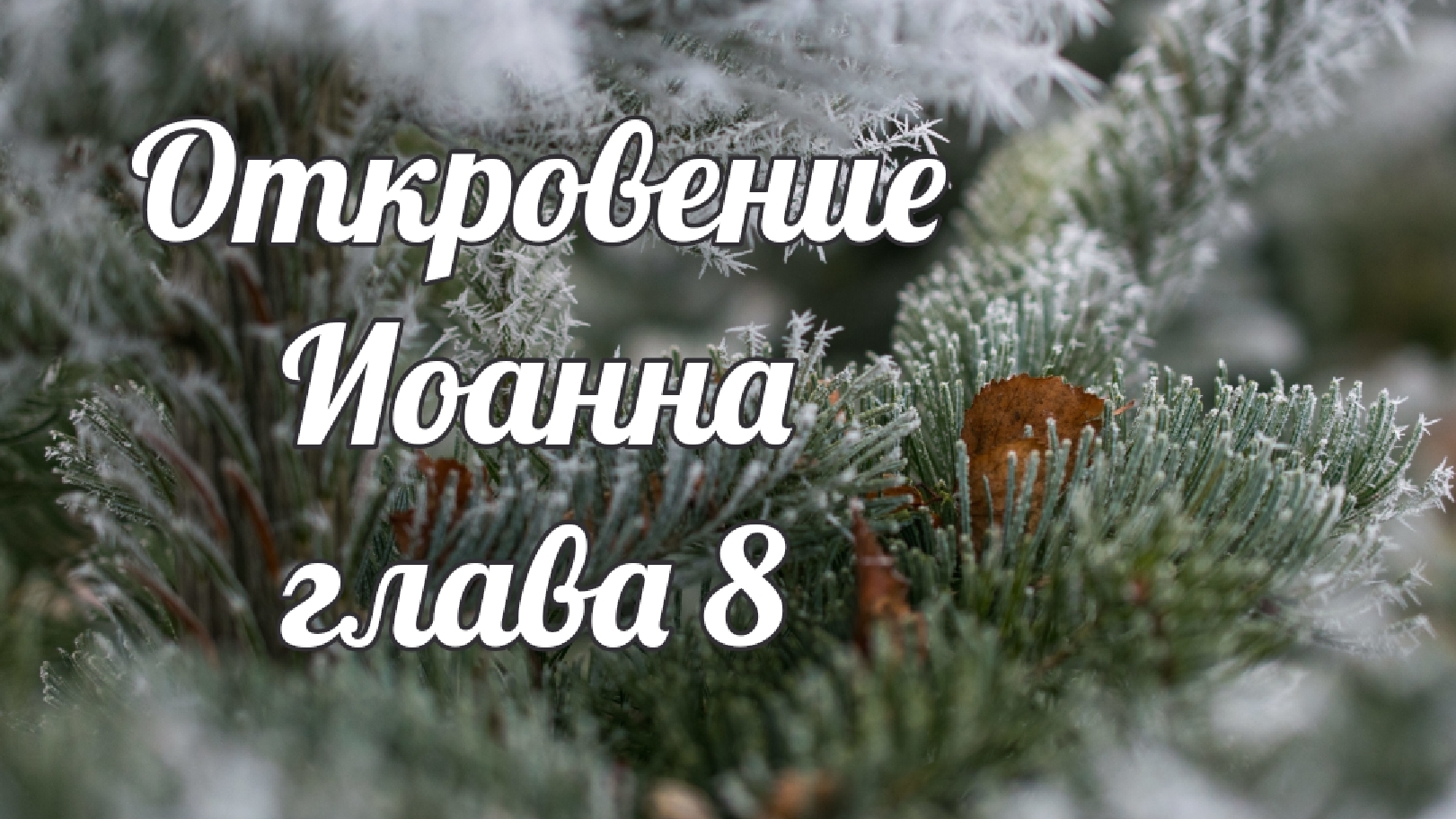 Откровение Иоанна глава 8