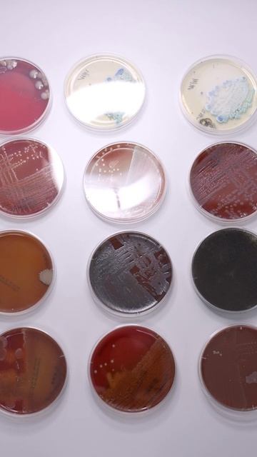 Пять минут о московской промышленности. Анонс выпуска о компании "ГЕМ (НЕМ)"