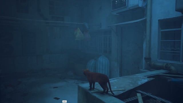 НАЧАЛО ПУТИ ➤ Stray #1