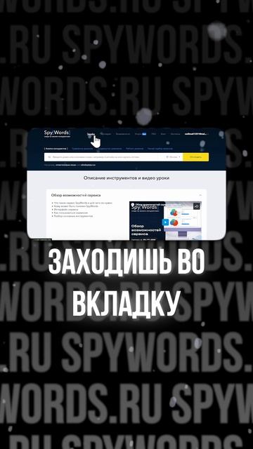 Новогодняя распродажа в сервисе Spywords