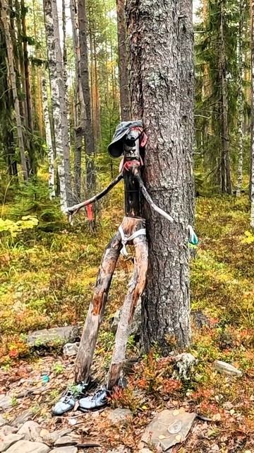 Встретили хозяина леса