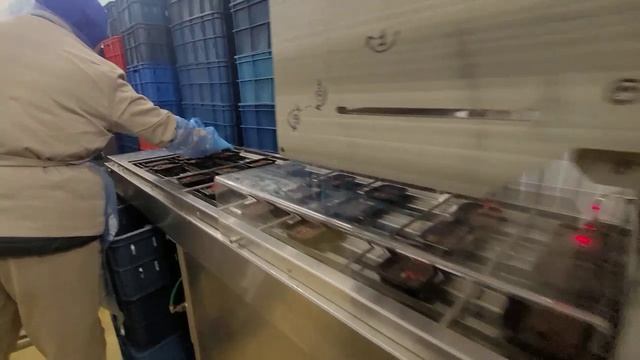 РОСТ ТР1 упаковка паштетов