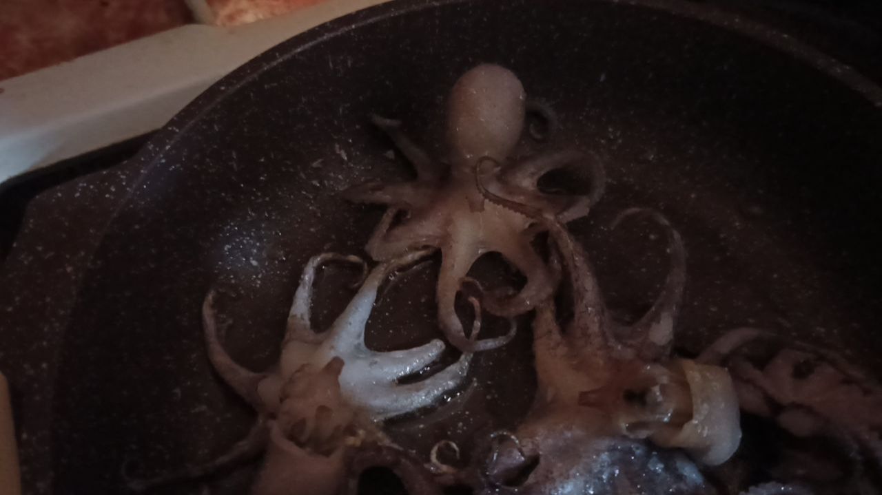 Жарим осьминожек. А вы каких морских гадов готовите?