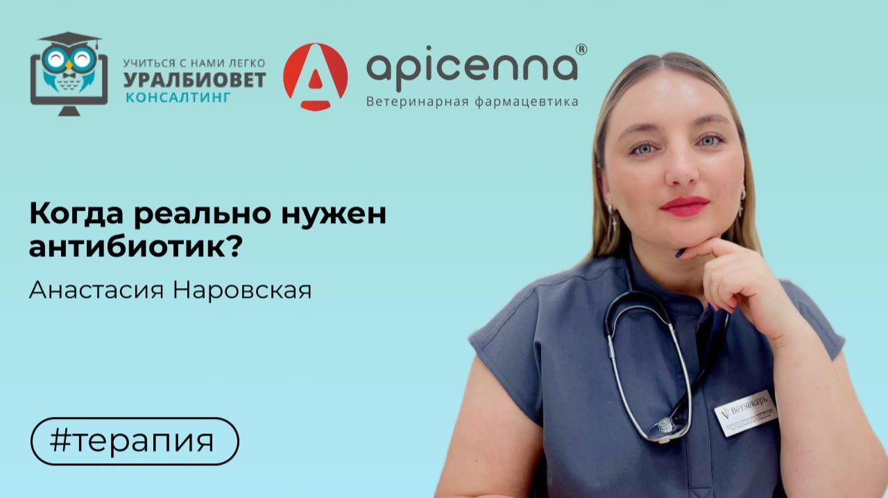 Когда действительно нужен антибиотик. Лектор Анастасия Наровская
