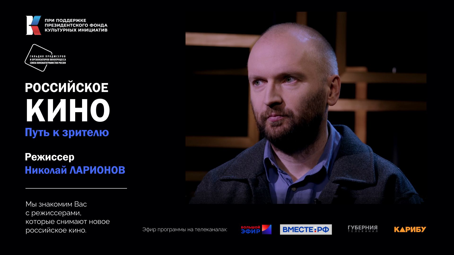 Российское кино. Путь к зрителю (Николай Ларионов)