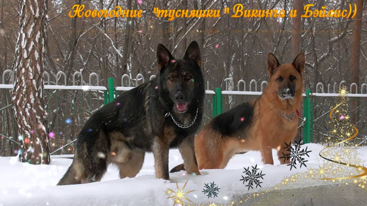 Праздничные выходные) 2022