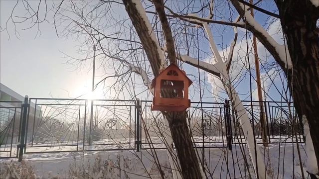 Декабрь 2025/Ботаника/