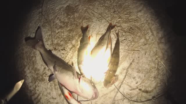 Подводная охота на окуня зимой на АЭС.