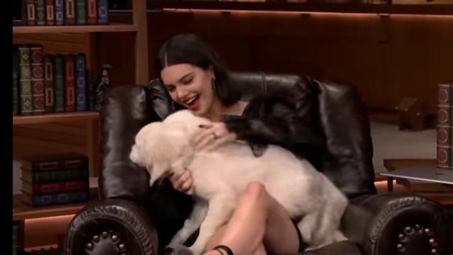 Викторина с Кендалл Дженнер и Джеймсом Франко