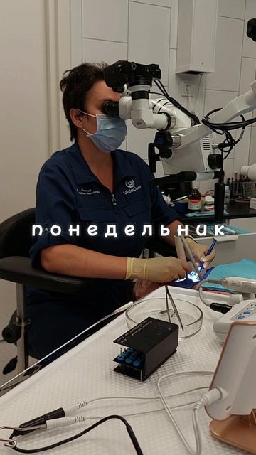 Твоя новая УЛЫБКА ждет! Начни неделю правильно. 🔥 #понедельник #shorts #стоматология #стоматолог