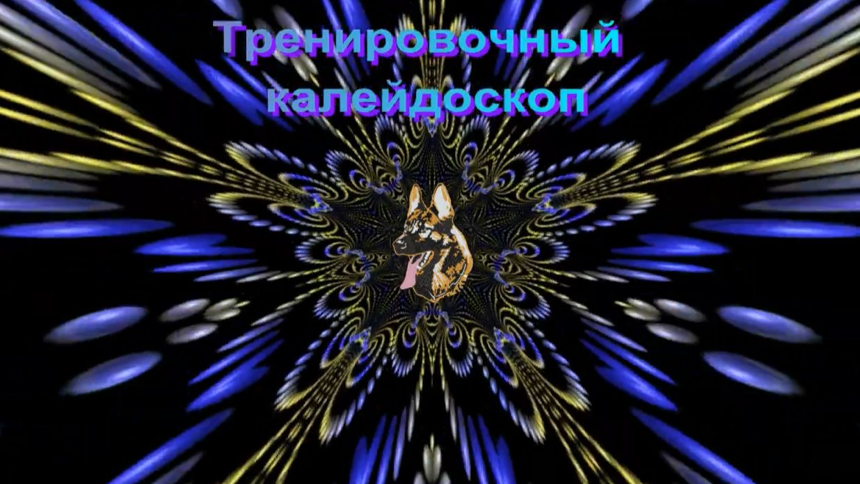 Тренировочный калейдоскоп . Спортивная база "Саратово"  Февраль 2023