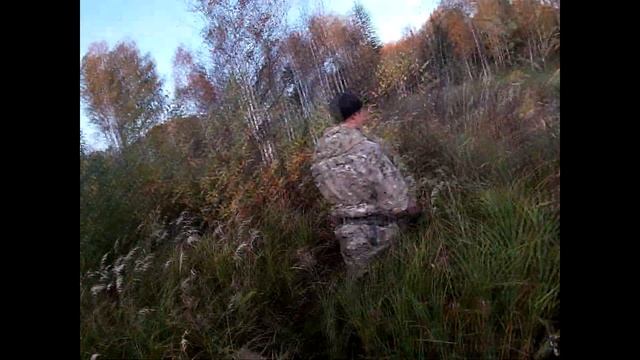 ОХОТА НА УТОК // Рябчики // Лисички