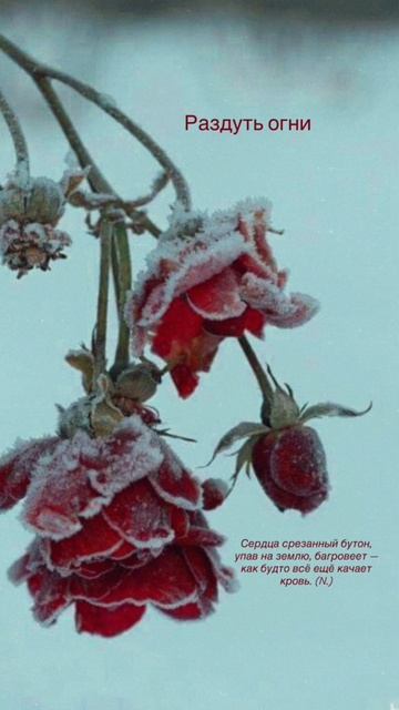 Раздуть огни