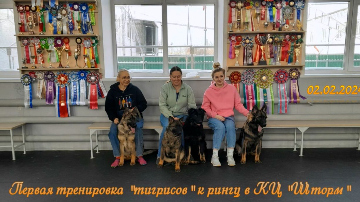 Тренировка по ринг-дрессуре. Февраль 2024.