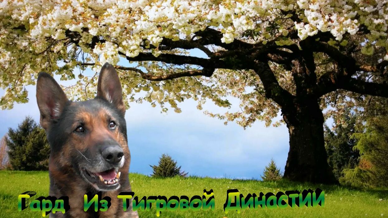 Братишка Германа Гард Из ТД.  12 лет)  Май 22