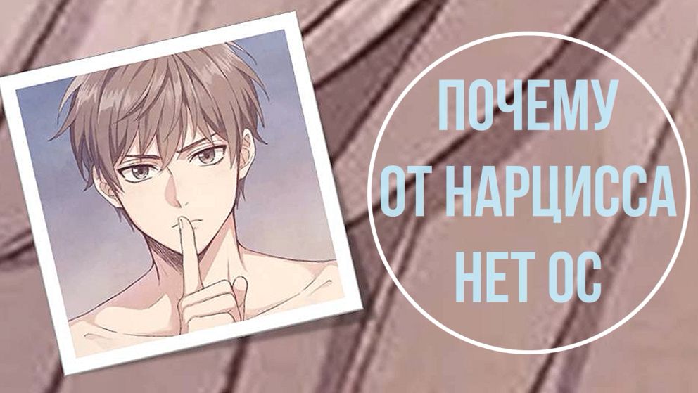 Почему нарцисс не дает обратной связи