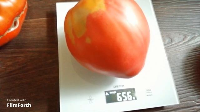 Самые крупные томаты, которые я вырастила в 2023 году