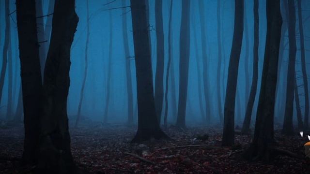 Сериал: Поездка на море ( 2/? )