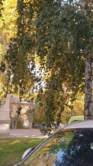 20250917_173035 - Золотая осень