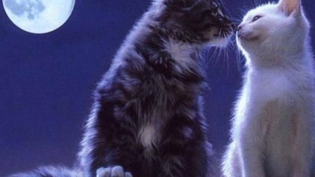 Ракетобиль - Просто дождь(кавер)