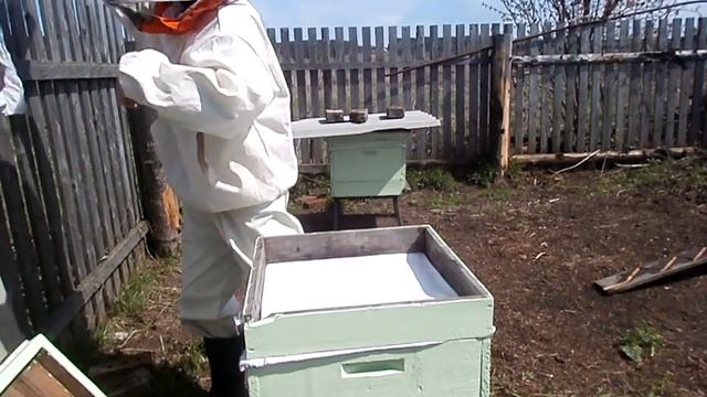 Как я развёл пчёл!Первый раз!Моя пасека!Пчеловодство для начинающих!Пчеловодство в России!