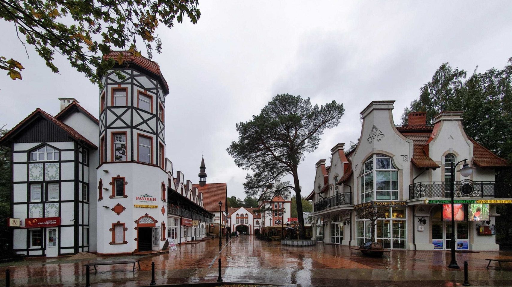 Светлогорск ⧸ Январь