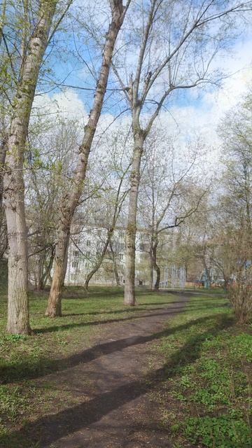 Смена времен года в одном клипе #Время #красивыевидео #наподумать #мысливслух #вечное #овечном