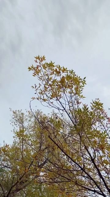 Это спокойствие и умиротворение