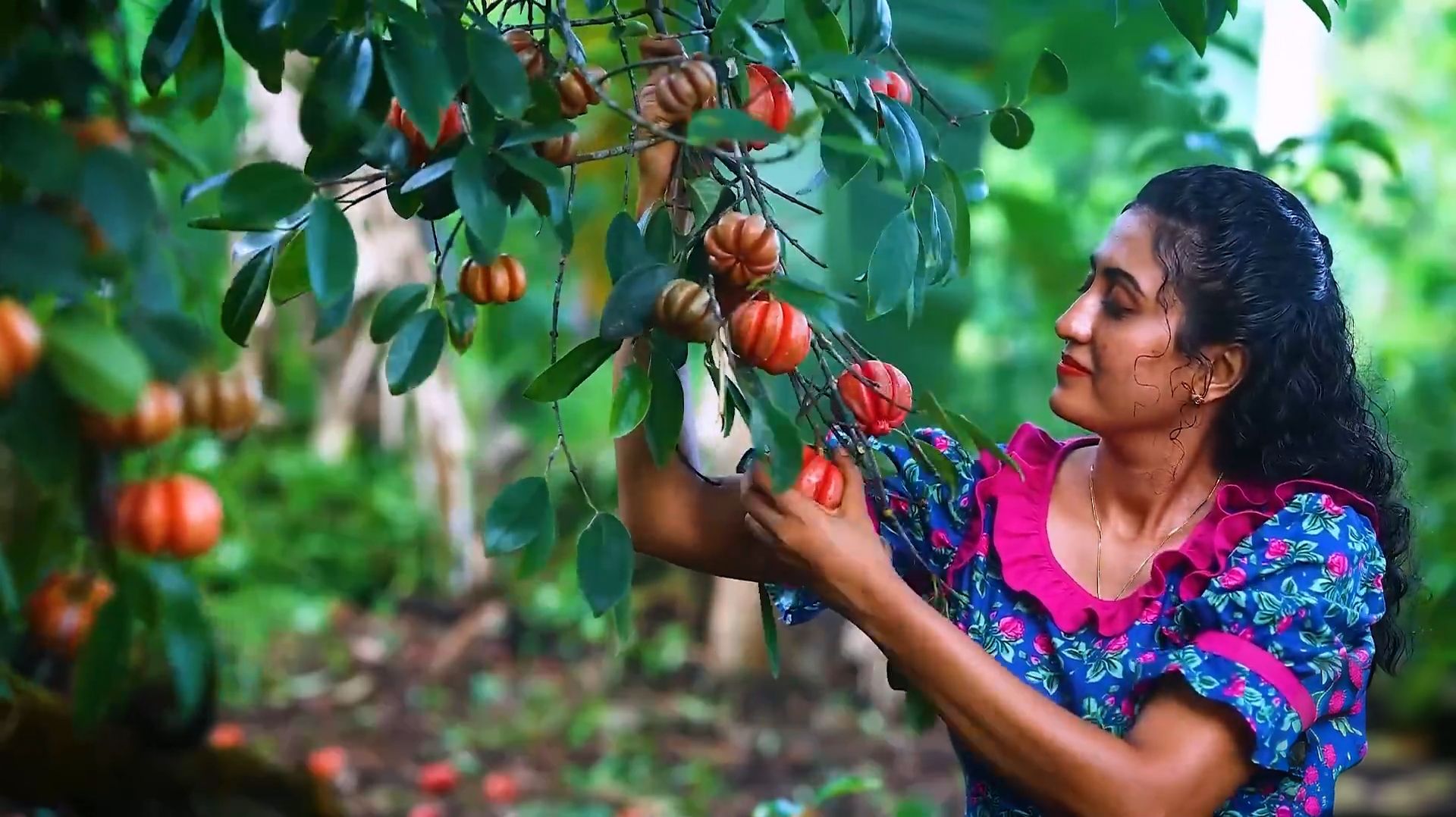 Высушенная на солнце гарциния, приготовленная в деревенском стиле Шри-Ланки. Кухня Шри-Ланки