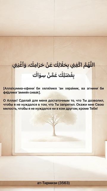📖 Nº25 ДОСТОВЕРНЫЕ МОЛИТВЫ ПРОРОКА ﷺ